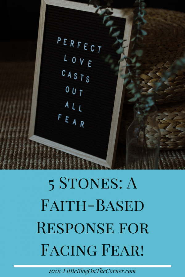 5 Stones: A Faith-Based Response for Facing Fear! | Little Blog On the ...
